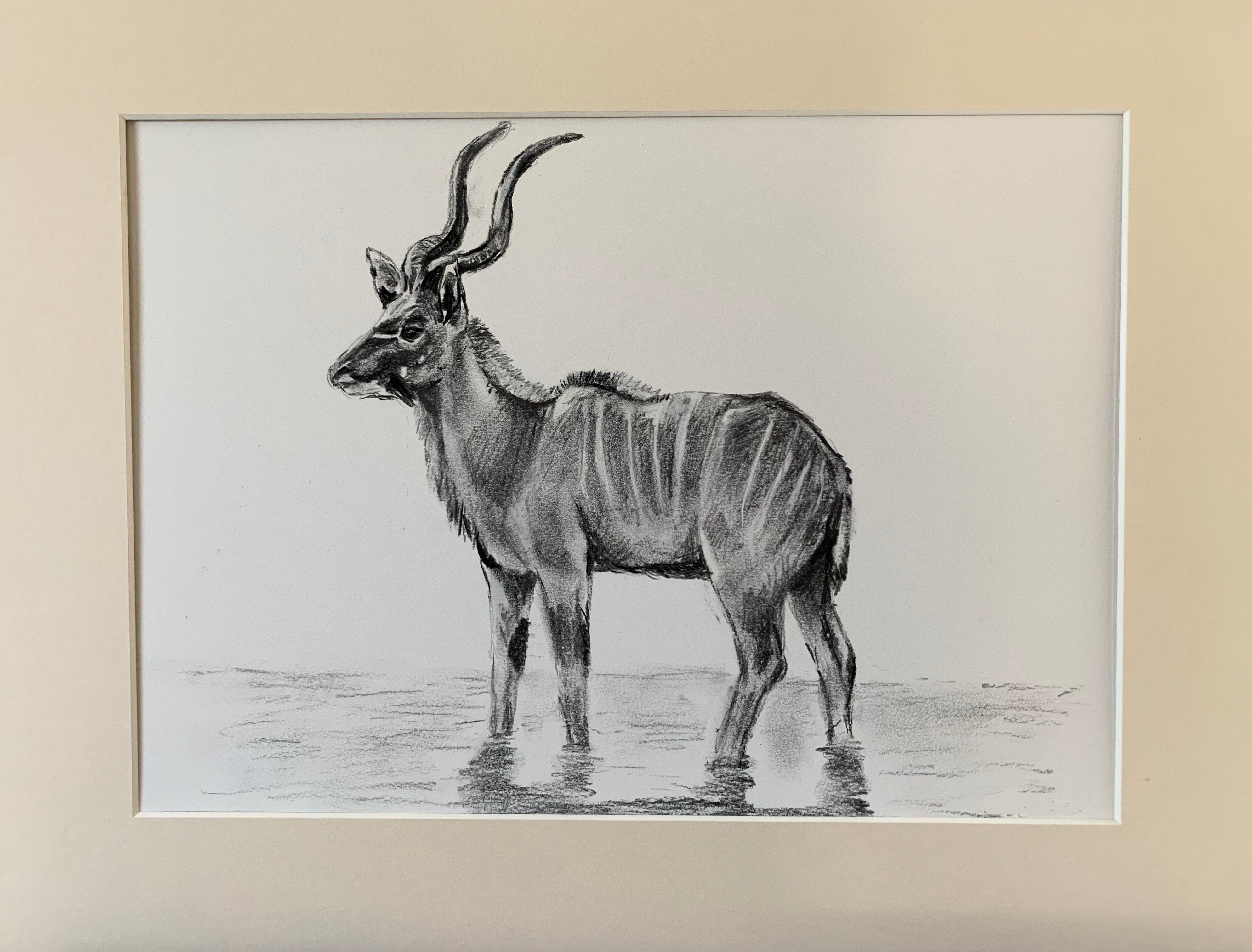 Kudu Sketch – Unhung Art
